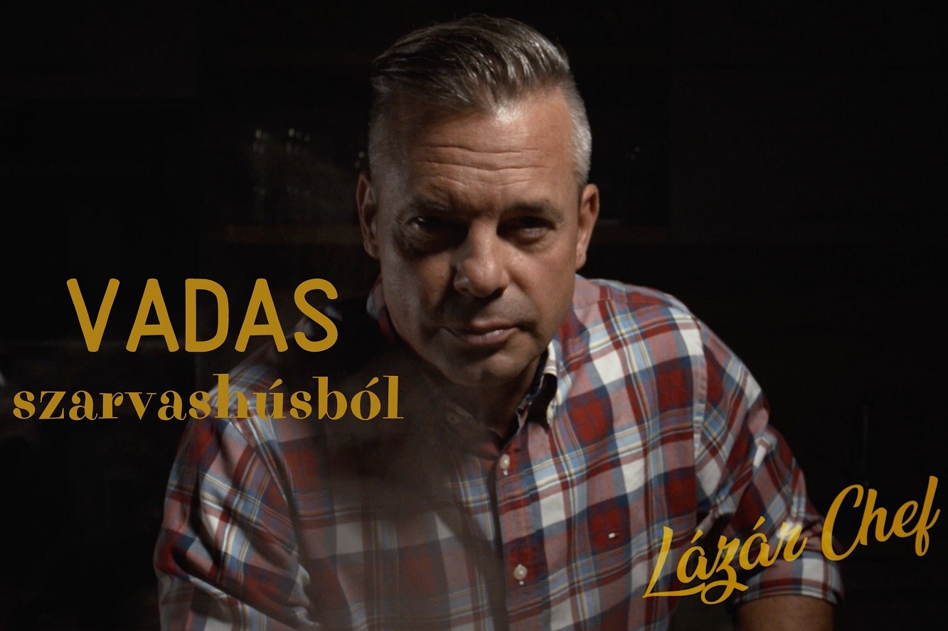 Szarvashús csíkok vadasan zsemlegombóccal - Lázár Chef